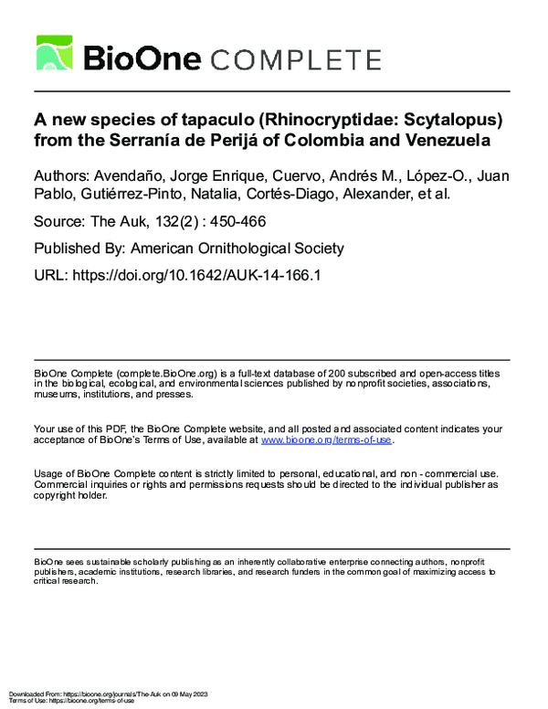 (PDF) A new species of tapaculo (Rhinocryptidae:Scytalopus) from the ...