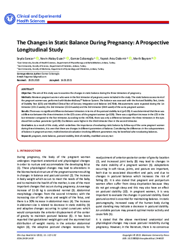 (PDF) The Changes in Static Balance During Pregnancy: A Prospective ...