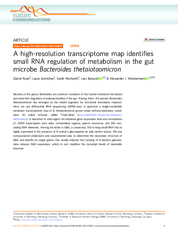 (PDF) A high-resolution transcriptome map identifies small RNA ...
