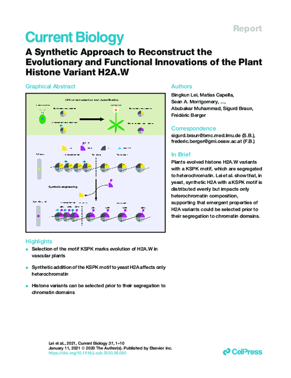 (PDF) A Synthetic Approach to Reconstruct the Evolutionary and ...