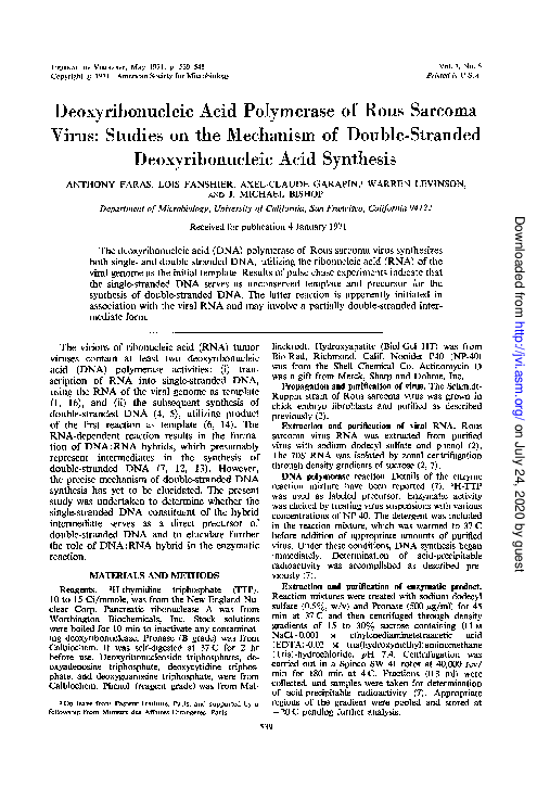 (PDF) Deoxyribonucleic Acid Polymerase of Rous Sarcoma Virus: Studies ...