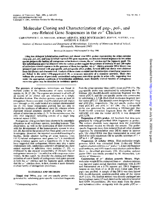 (PDF) Molecular cloning and characterization of gag-, pol-, and env ...