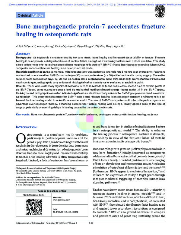 (PDF) Bone morphogenetic protein-7 accelerates fracture healing in ...