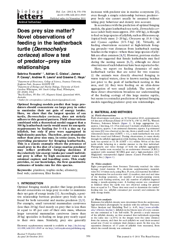 (PDF) Does prey size matter? Novel observations of feeding in the ...