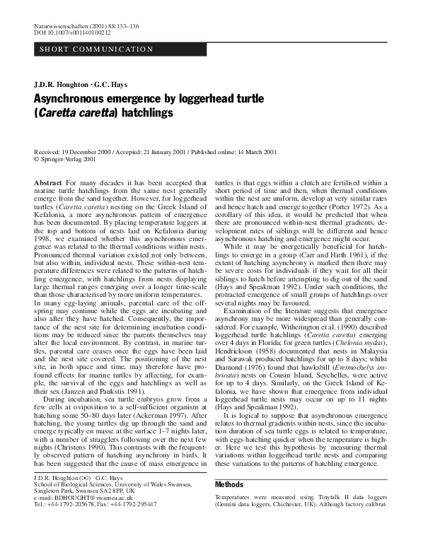(PDF) Asynchronous emergence by loggerhead turtle ( Caretta caretta ...