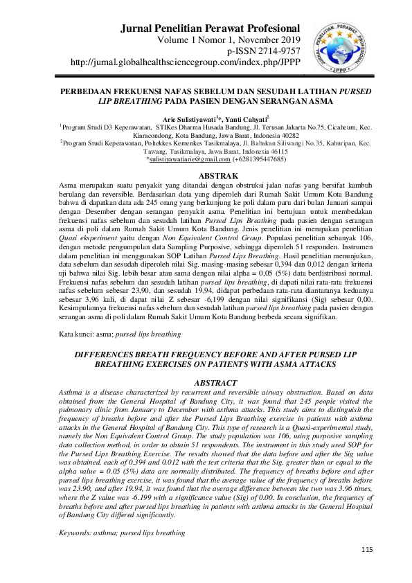 (PDF) Perbedaan Frekuensi Nafas Sebelum dan Sesudah Latihan Pursed Lip Breathing pada Pasien ...
