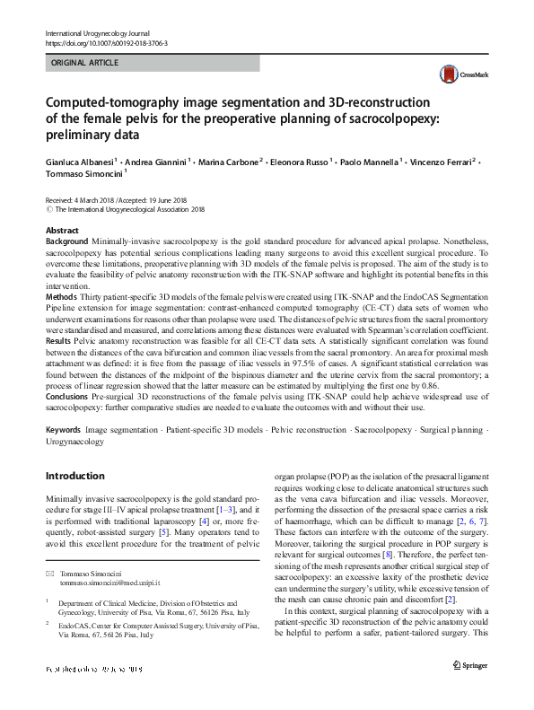 (PDF) Computed-tomography image segmentation and 3D-reconstruction of the female pelvis for the ...