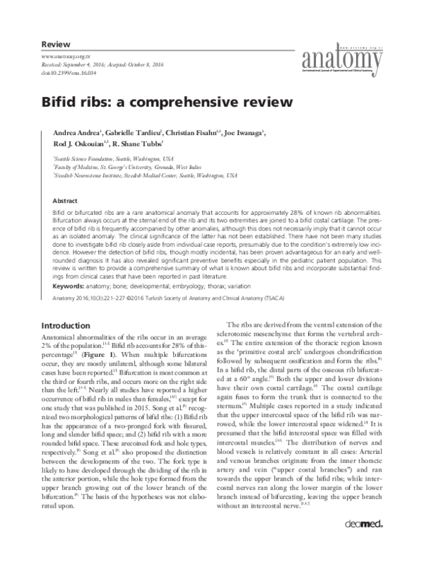 (PDF) Bifid ribs: a comprehensive review