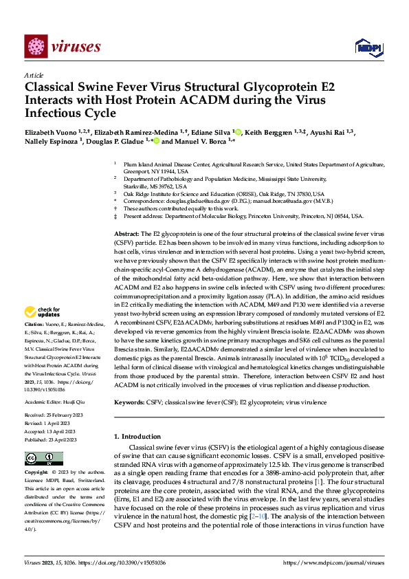 (PDF) Classical Swine Fever Virus Structural Glycoprotein E2 Interacts ...