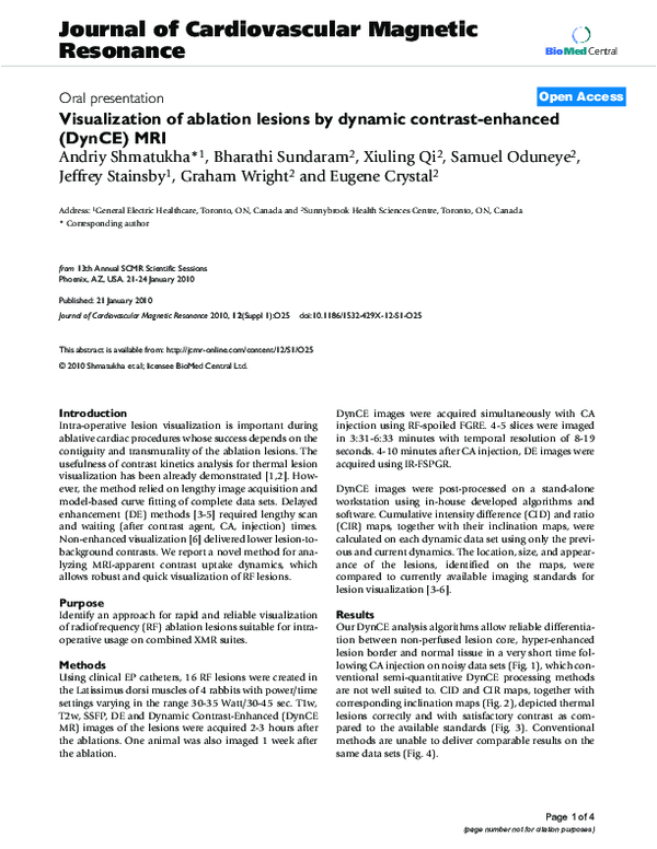 (PDF) Visualization of ablation lesions by dynamic contrast-enhanced ...