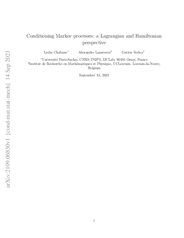 (PDF) Conditioning Markov processes: a Lagrangian and Hamiltonian perspective | lydia chabane ...