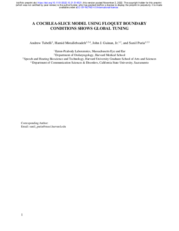 (PDF) A Cochlea-Slice Model using Floquet Boundary Conditions shows Global Tuning