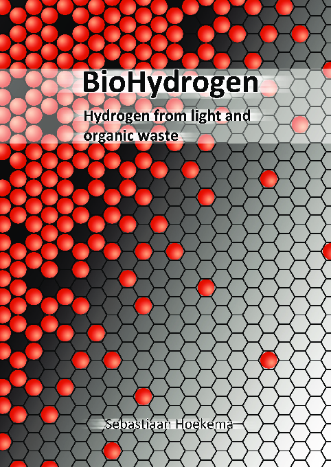 (PDF) BioHydrogen : hydrogen from light and organic waste