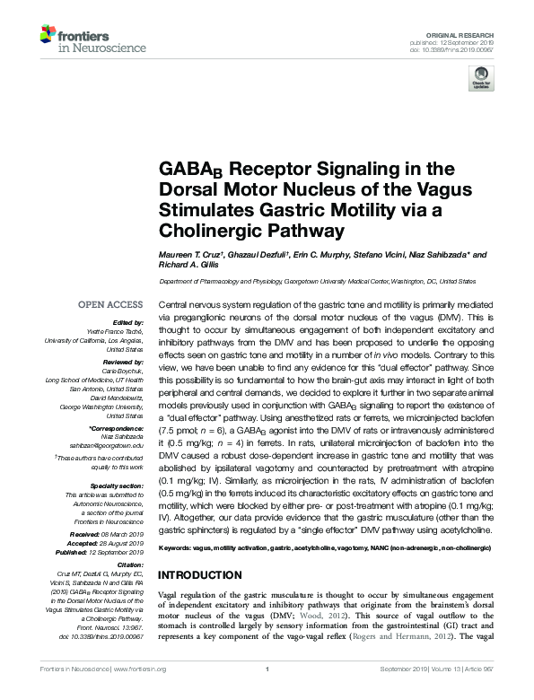 (PDF) GABAB Receptor Role in DMV Modulation of Gastric Motility