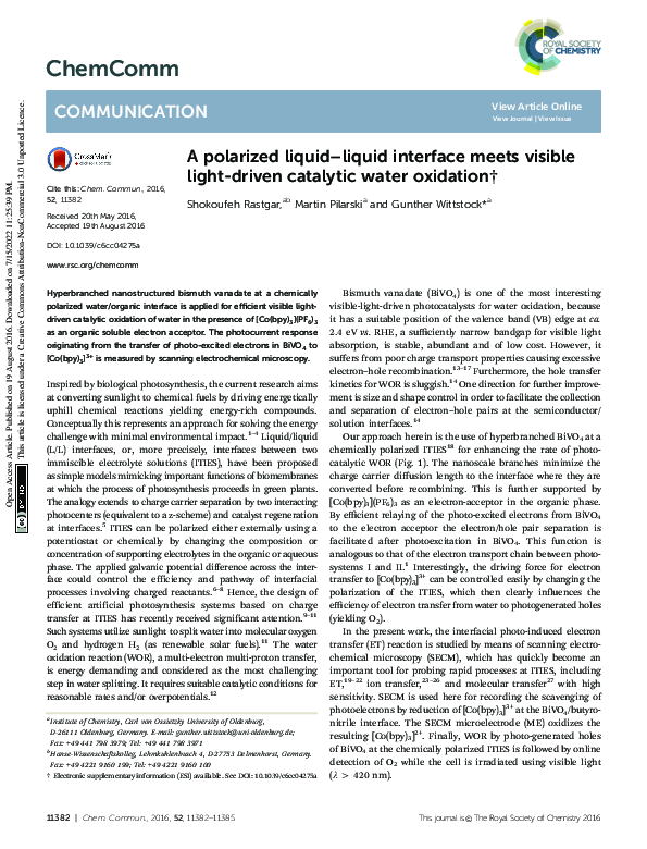 (PDF) A polarized liquid–liquid interface meets visible light-driven ...