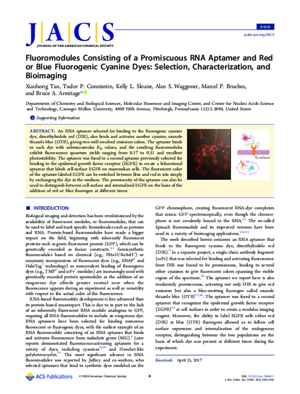 (PDF) Fluoromodules Consisting of a Promiscuous RNA Aptamer and Red or ...