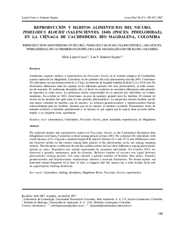 (PDF) Reproduction and Feeding of Nicuro, Pimelodus Blochii ...