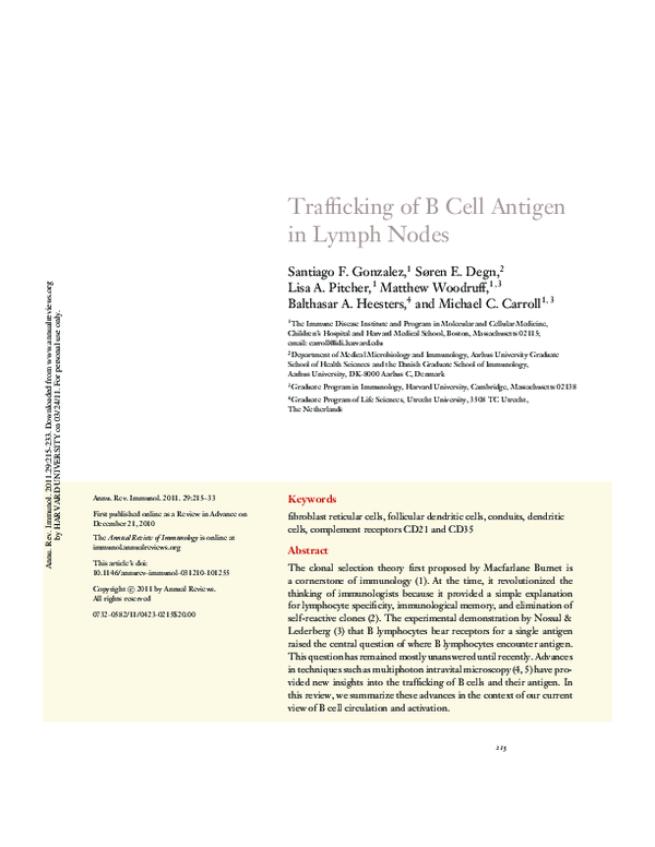 (PDF) Trafficking of B Cell Antigen in Lymph Nodes