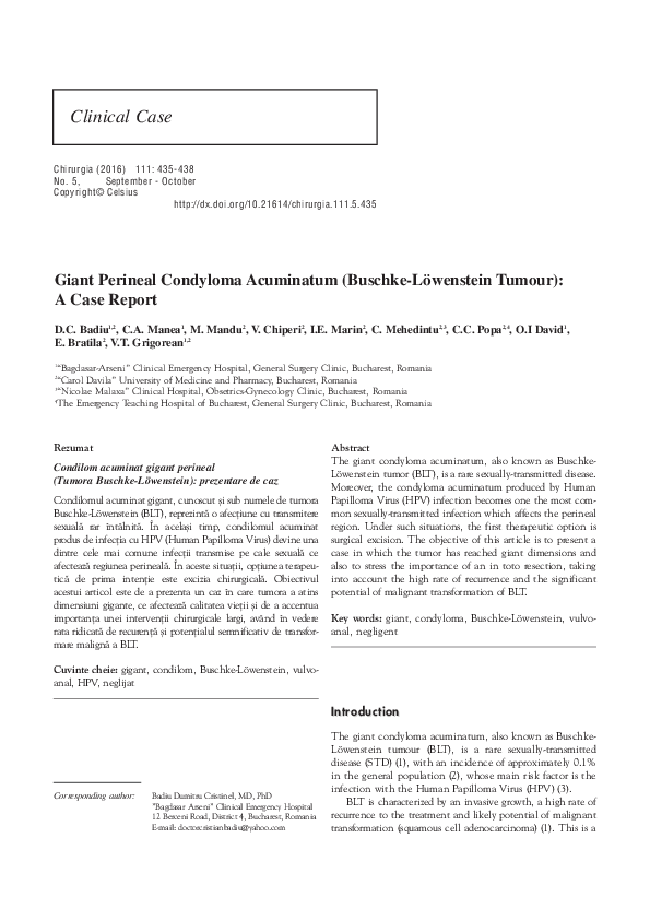 (PDF) Giant Perineal Condyloma Acuminatum (Buschke-Lowenstein Tumour ...