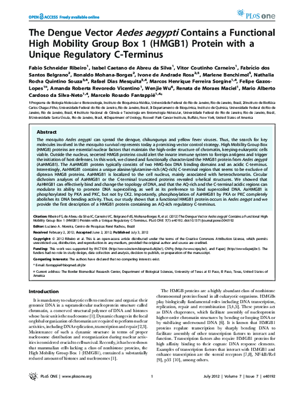 (PDF) The Dengue Vector Aedes aegypti Contains a Functional High Mobility Group Box 1 (HMGB1 ...