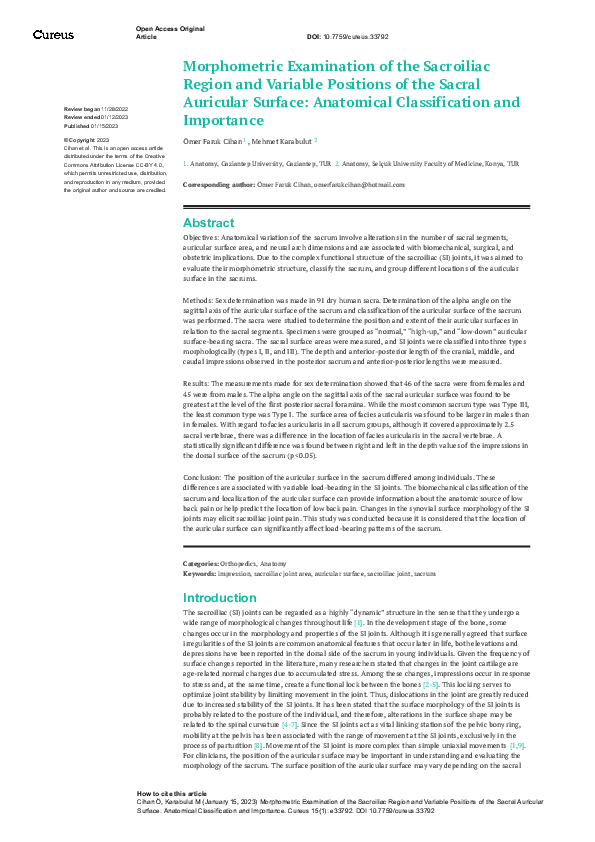 (PDF) Morphometric Examination of the Sacroiliac Region and Variable ...