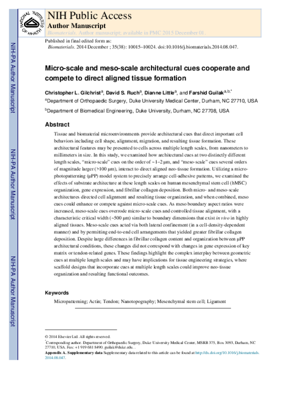 (PDF) Micro-scale and meso-scale architectural cues cooperate and ...