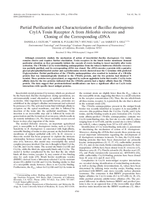 (PDF) Partial Purification and Characterization of Bacillus thuringiensis Cry1A Toxin Receptor A ...