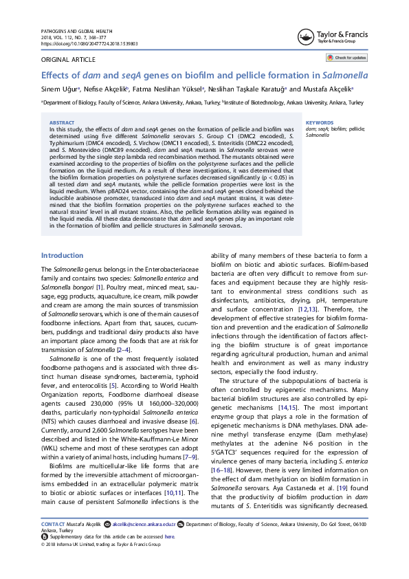 (PDF) Effects of dam and seqA genes on biofilm and pellicle formation ...