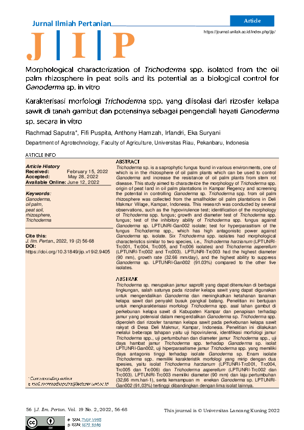Pdf Morphological Characterization Of Trichoderma Spp Isolated From The Oil Palm Rhizosphere
