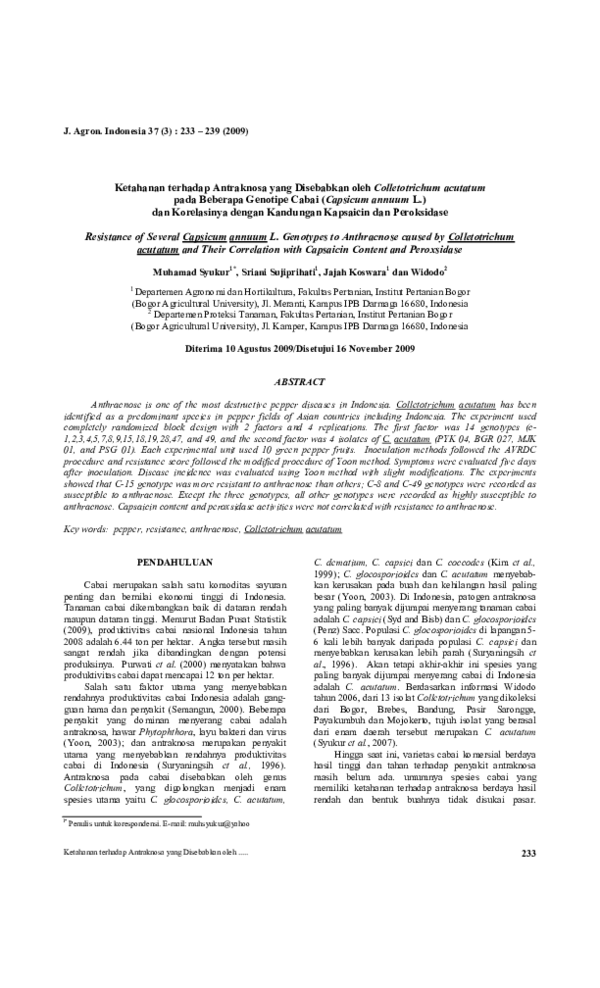 (PDF) Ketahanan terhadap Antraknosa yang Disebabkan oleh Colletotrichum ...