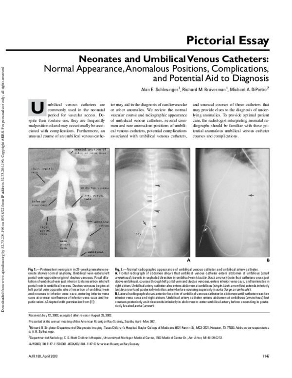 (PDF) Neonates and Umbilical Venous Catheters: Normal Appearance ...