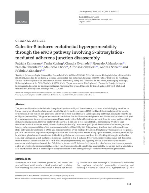 (PDF) Galectin-8 induces endothelial hyperpermeability through the eNOS ...