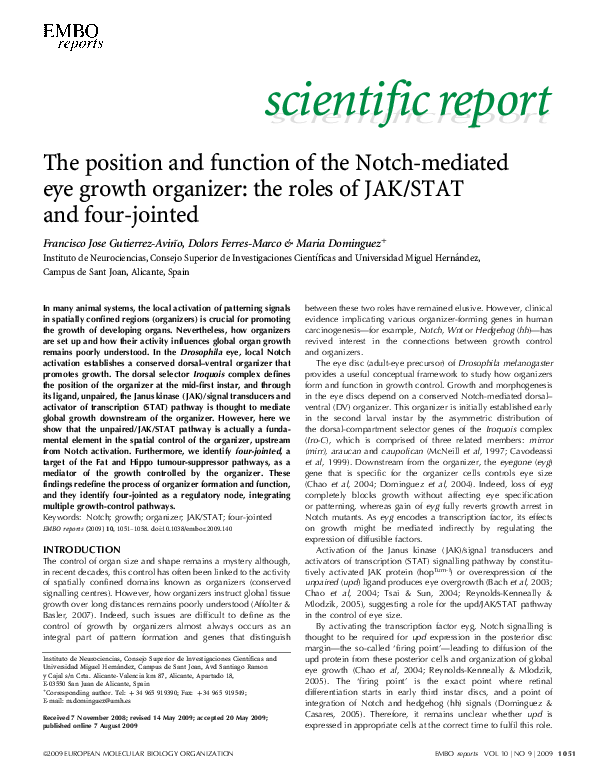 (PDF) The position and function of the Notch‐mediated eye growth ...