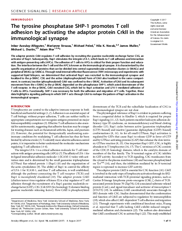 (PDF) The tyrosine phosphatase SHP-1 promotes T cell adhesion by ...