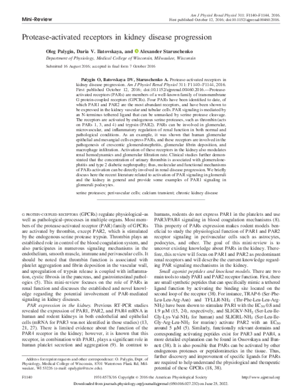 (PDF) Protease-activated receptors in kidney disease progression