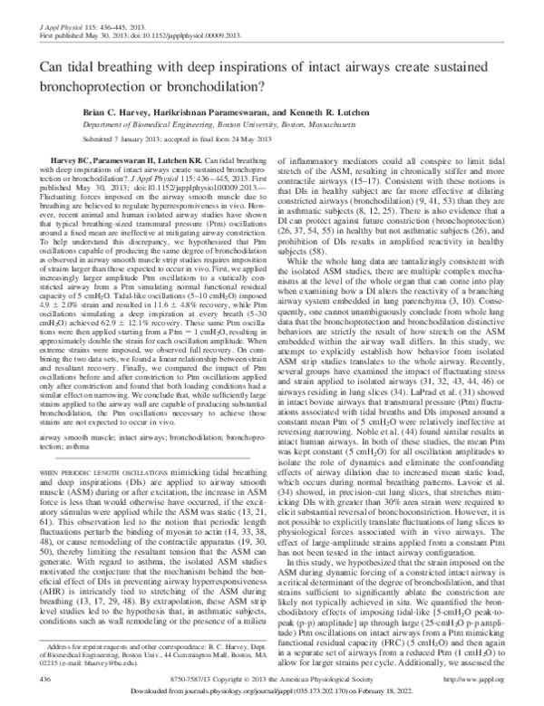 (PDF) Can tidal breathing with deep inspirations of intact airways ...