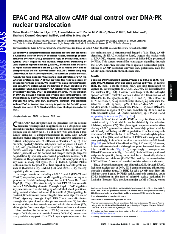 (PDF) EPAC and PKA allow cAMP dual control over DNA-PK nuclear translocation | Martin Lynch ...