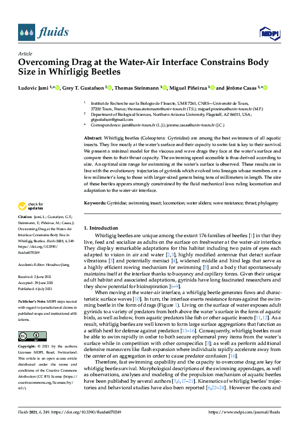 Overcoming Drag at the Water-Air Interface Constrains Body Size in ...