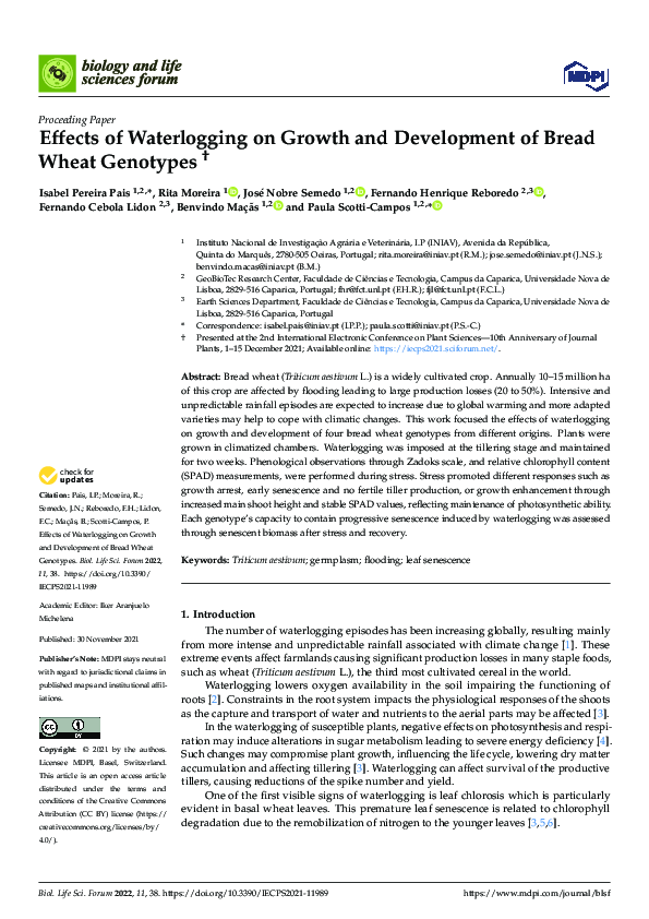 (PDF) Effects of Waterlogging on Growth and Development of Bread Wheat ...