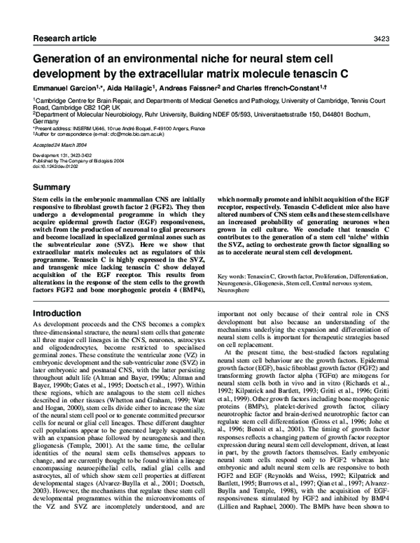 (PDF) Generation of an environmental niche for neural stem cell ...