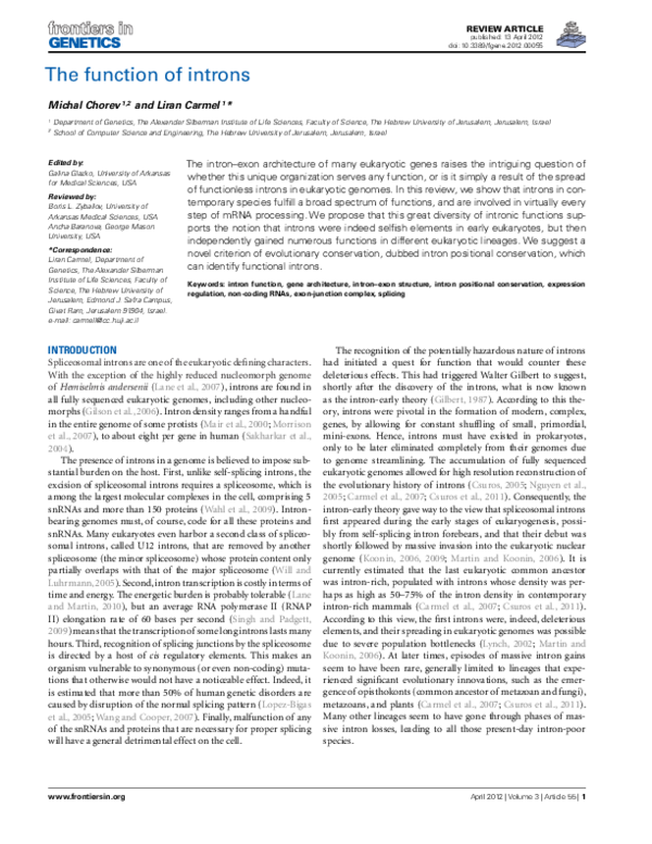 (PDF) The Function of Introns