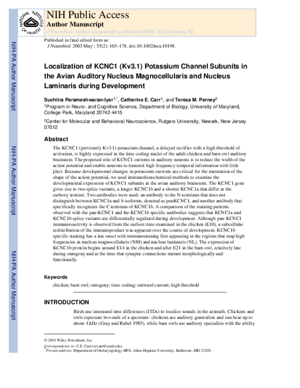 (PDF) Localization of KCNC1 (Kv3.1) potassium channel subunits in the ...