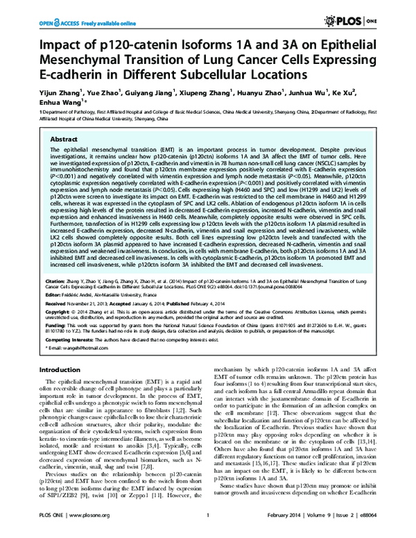 (PDF) Impact of p120-catenin Isoforms 1A and 3A on Epithelial ...