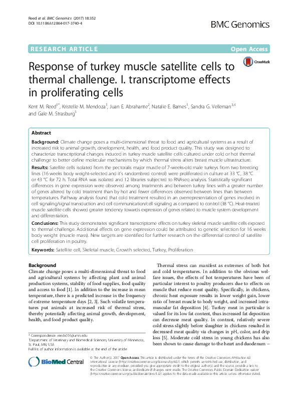 (PDF) Response of turkey muscle satellite cells to thermal challenge. I ...