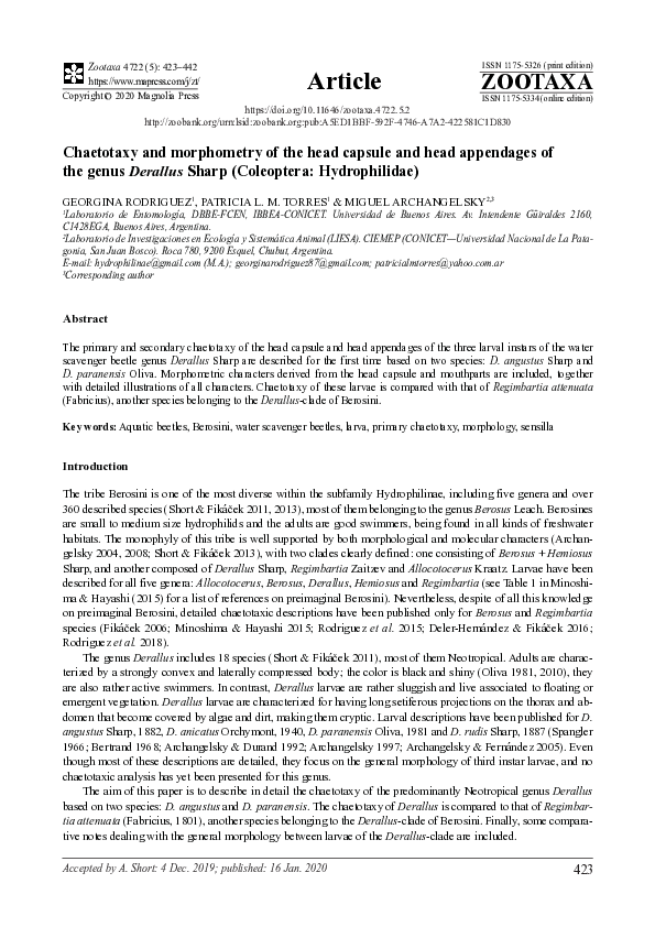 (PDF) Chaetotaxy and morphometry of the head capsule and head ...
