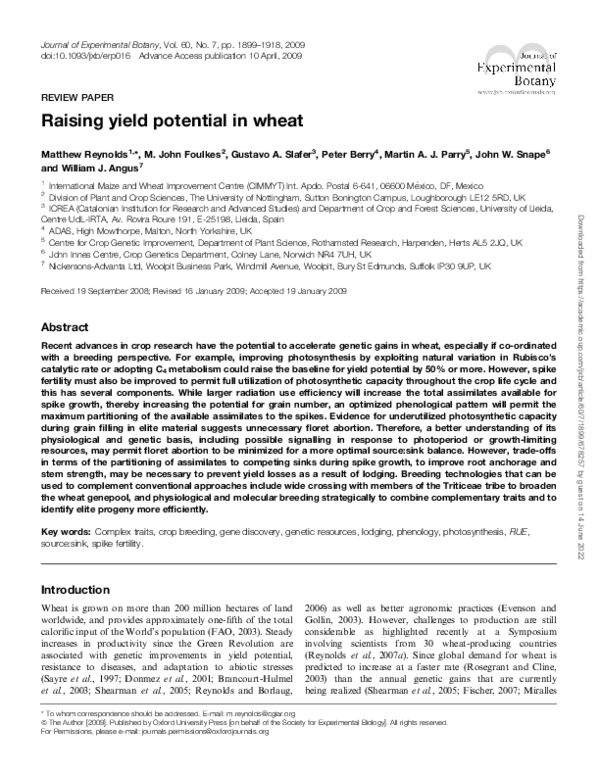 (PDF) Raising yield potential in wheat