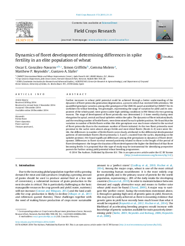 (PDF) Dynamics of floret development determining differences in spike ...