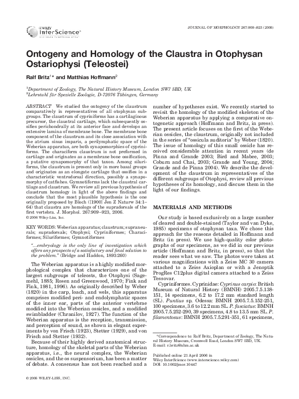 (PDF) Ontogeny and homology of the claustra in Otophysan Ostariophysi ...