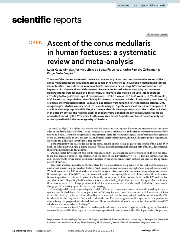 (PDF) Ascent of the Conus Medullaris in Human Foetuses: A Systematic ...