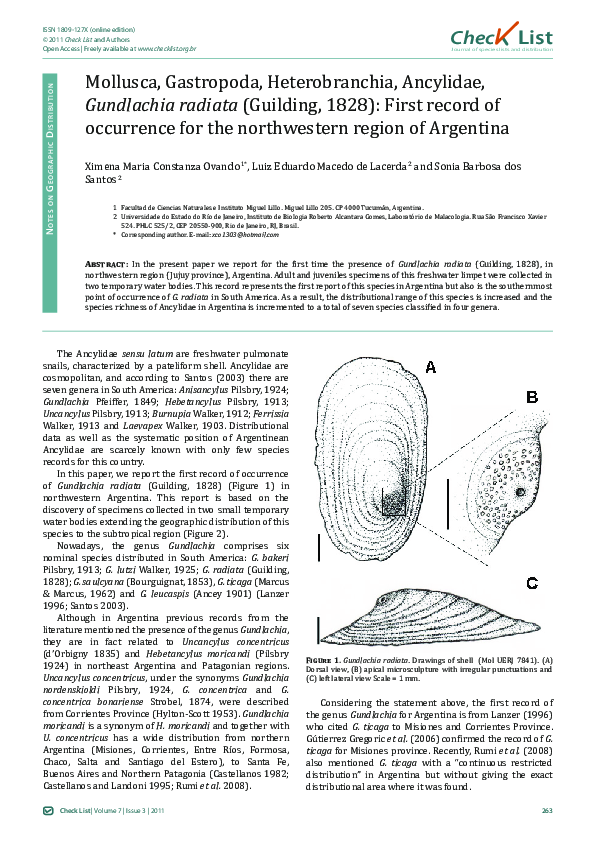 (PDF) Mollusca, Gastropoda, Heterobranchia, Ancylidae, Gundlachia radiata (Guilding, 1828 ...